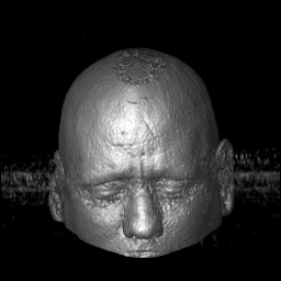 Welcome to the Fellous Lab